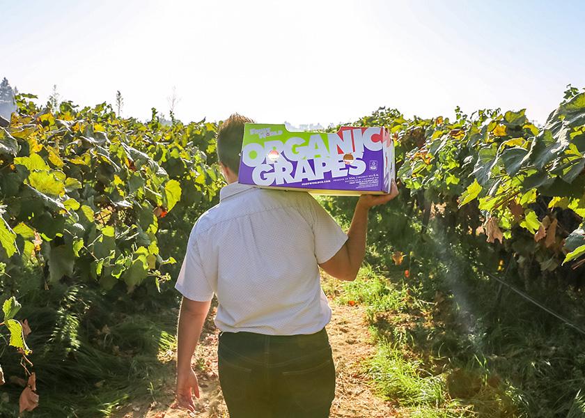 Fruit World kicks off organic grape program | The Packer